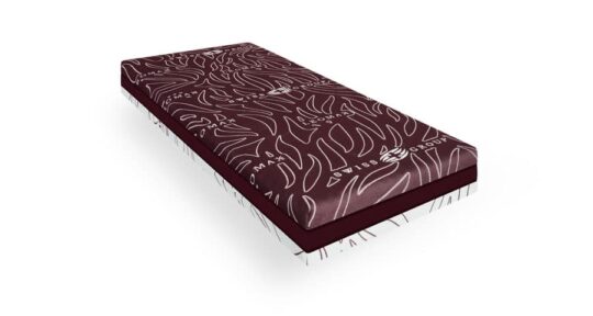 Leomax International – LEOMAX SMART SLEEPING SYSTEM